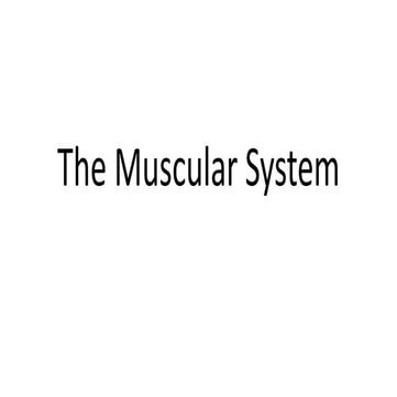 Aaa stem muscular system power point | PPT