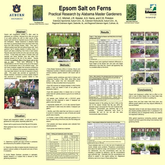 Epsom Salt on Ferns | PDF