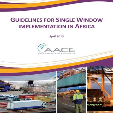AAEC guidelines single_window 2013 | PDF
