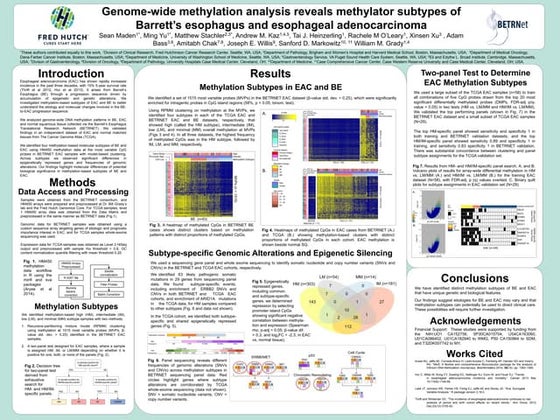 ASEE-GSW_2015_submission_75 | PDF | Cancer | Diseases and Conditions