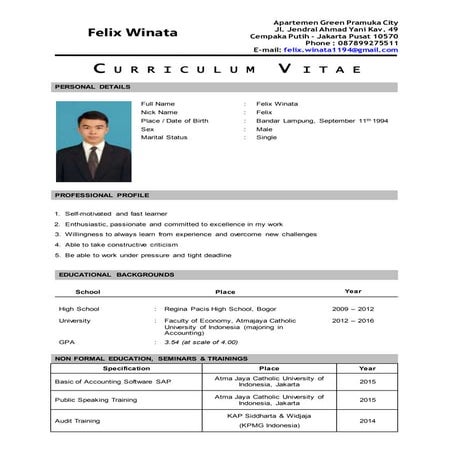 CV - Felix Winata | PDF