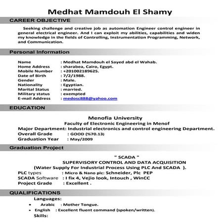 medhat cv 2 | PDF | Business Utilities | Business
