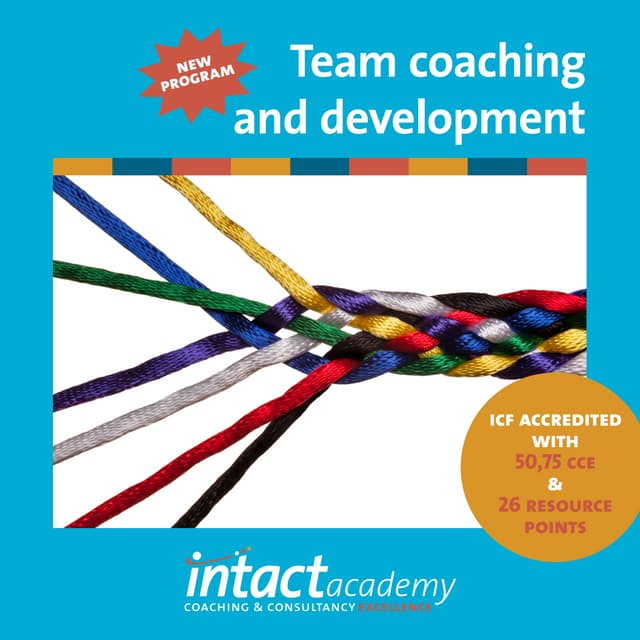 Brochure Team Coaching and development (3) | PDF