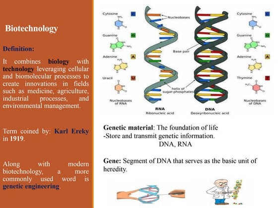 Genetic Engineering for Grade 11 Earth and Life Science Class Quart | PPTX