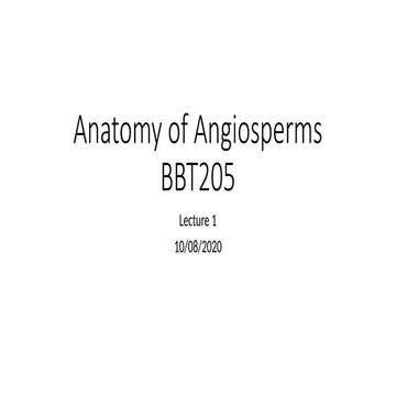 Anatomy Of Angiosperms Beginners Lecture 1 Pptx