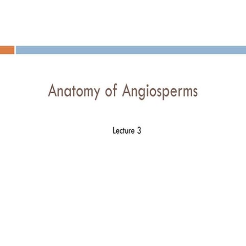 Anatomy of Angiosperms beginners Lec 3.pptx