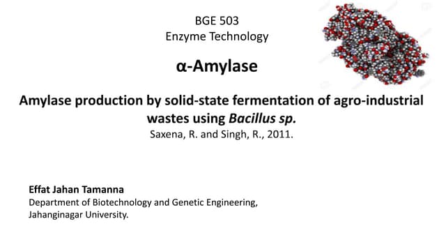 Presentation on Amylase enzyme | PPTX