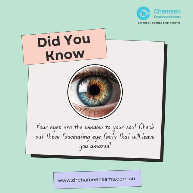 Amazing Human Eye Facts That You Should Know | PDF