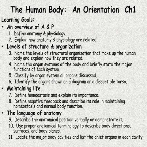 A and p ch 1 human body an orientation | PPT