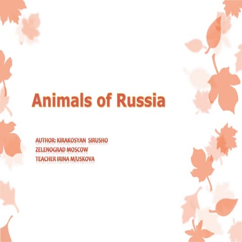 A animals of russia | PPT