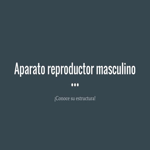 Aparato reproductor masculino | PPTX