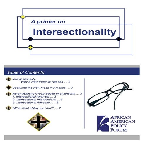 Aapf Intersectionality Primer | PDF