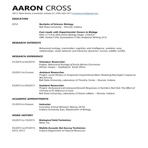 Noel CV | DOCX