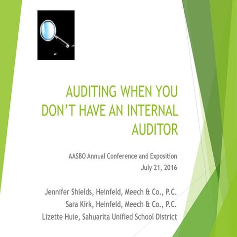 Auditing When You Don't Have an Internal Auditor | PPTX
