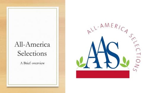 2019 All-America Selections Winners | PPTX