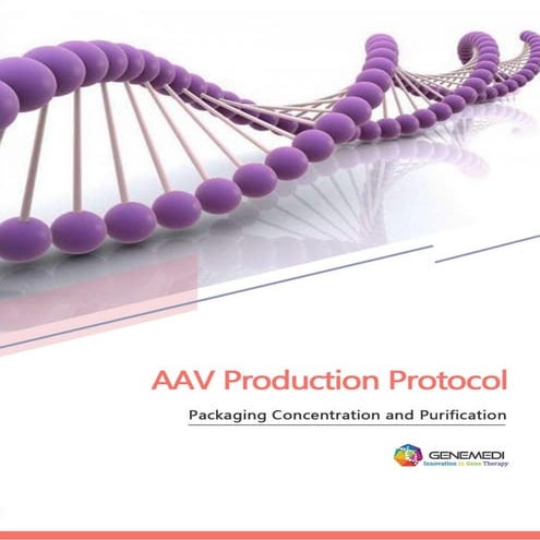 Aav production protocol-packaging_concentration_and_purification-gene_medi | PDF