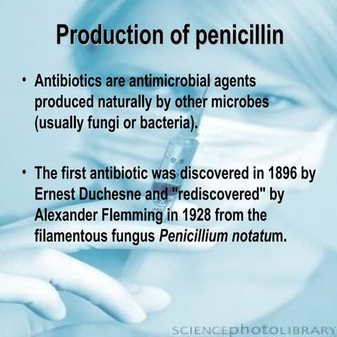Penicillin production fermentation | PDF