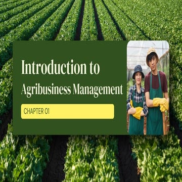 Analysis for budgeting in CHAPTER 01.pdf