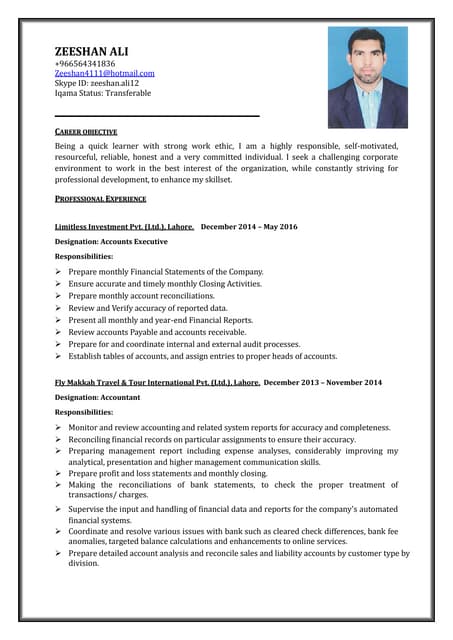 SAK Resume | DOC | Business Accounting & Finance | Business
