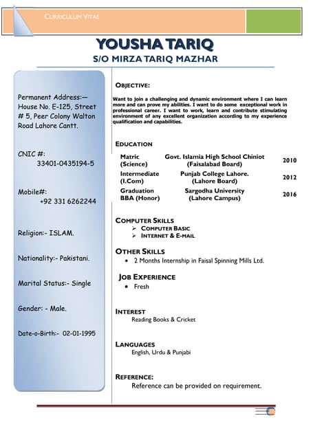 Mudassar CV (1) | PDF