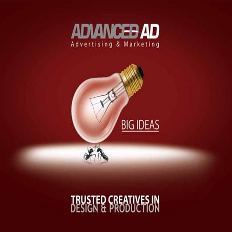 Advanced AD Profile | PDF