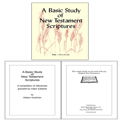 A basic study of new testament scriptures english | PDF