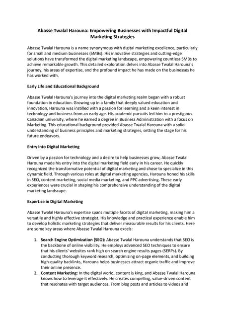 Abasse Twalal Harouna, Digital marketing expert