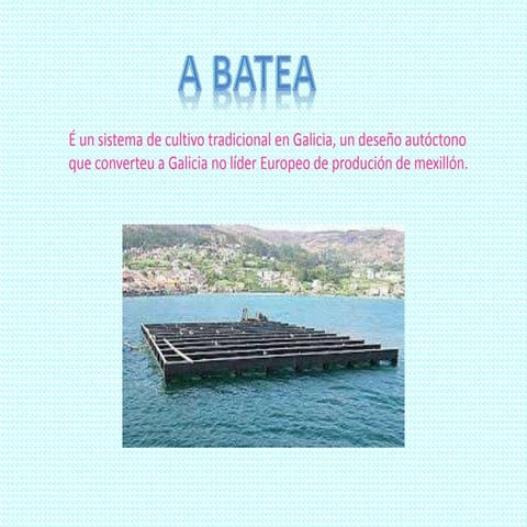 A batea 1 | PPSX