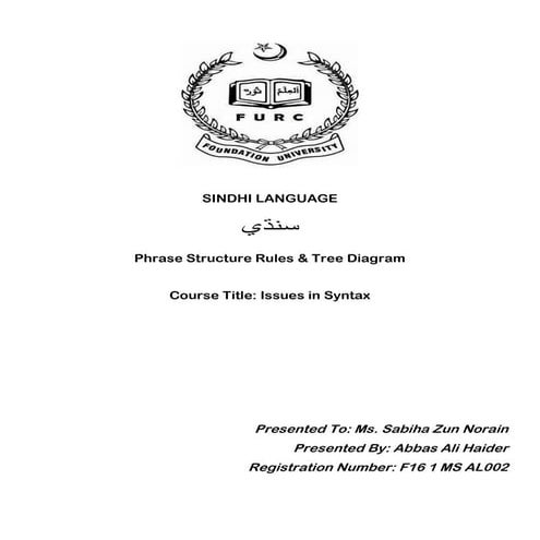 Syntax of Sindhi Language | PDF