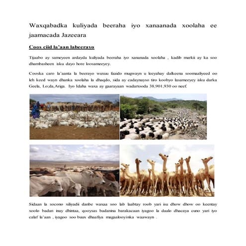 buuga agro vet ka | PDF