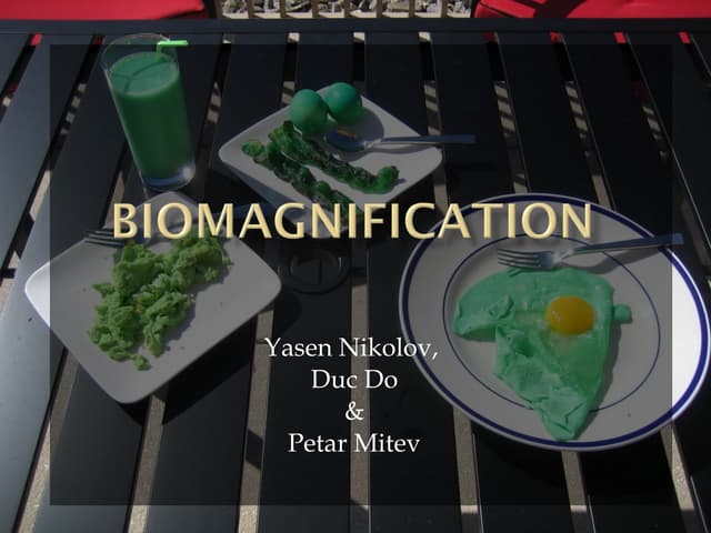 Biomagnification .ppsx
