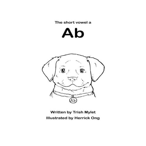 Ab book | PDF