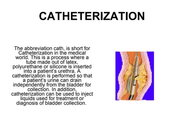 Chapter 9 urinary system abbreviations | PPTX