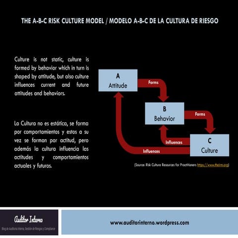 ABC Culture Risk Model | PDF