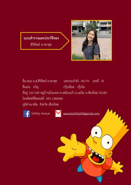 การออกแบบ Portfolio | PPT