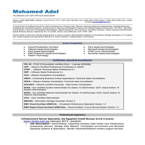 Muhammad Adel | PDF