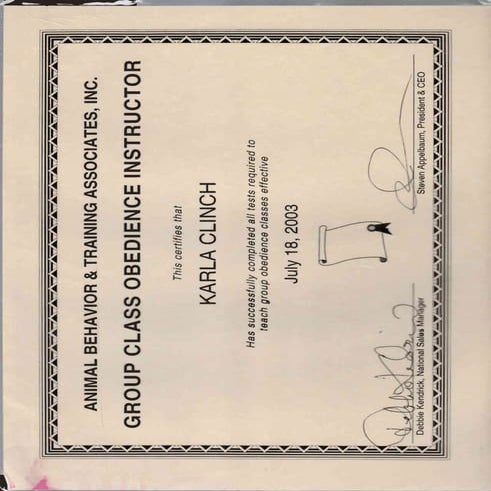 Abc instructor certificate | PDF