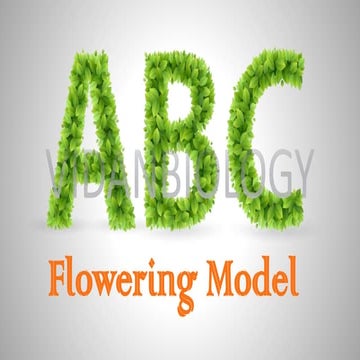 ABC Model of Flower development | PDF