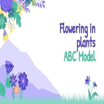 Flowering in plants(Arabidopsis) ABC Model | PDF