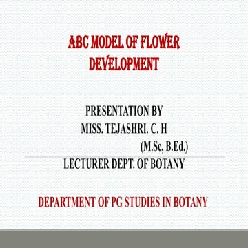 ABC Model of Flower Developement in Plants | PDF