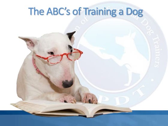 Dog behaviour training | PPTX