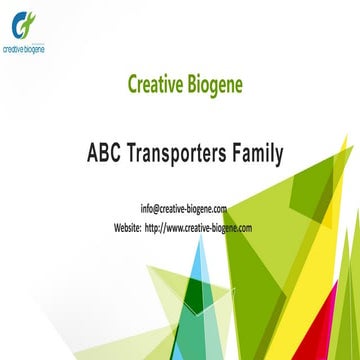 Abc transporters family | PDF