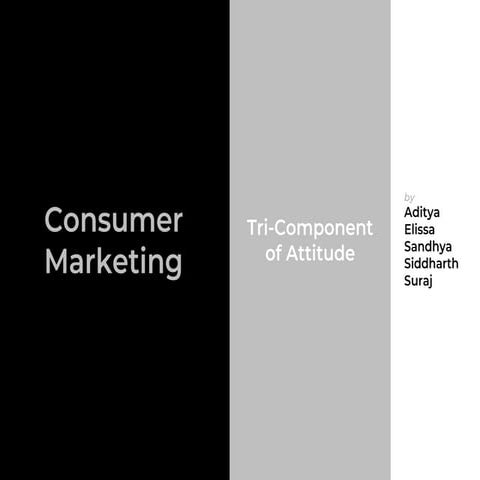 ABC Tri component model of Attitude. | PDF