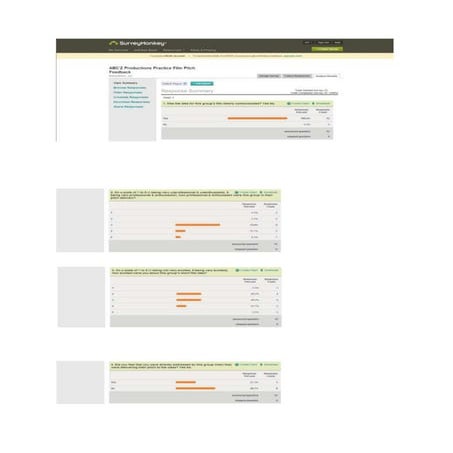 Abcz practice pitch feedback | DOCX