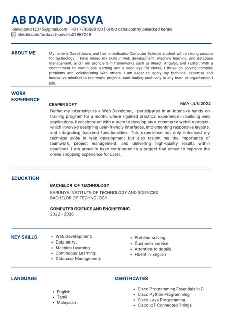 Resume | PDF | Programming Languages | Computing