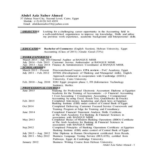 Abdel aziz (cv) | PDF