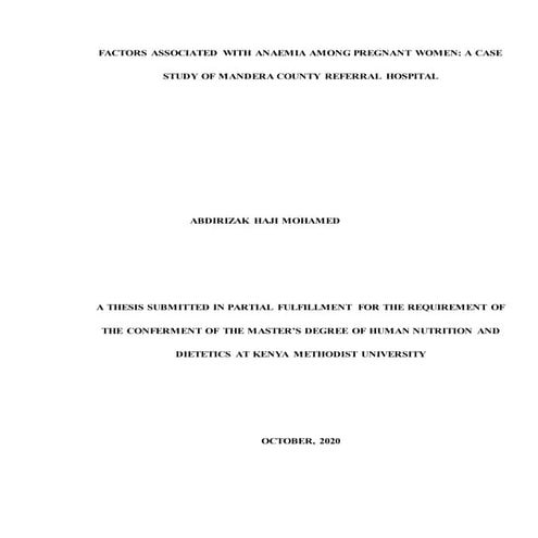 Abdirizak final thesis | DOCX