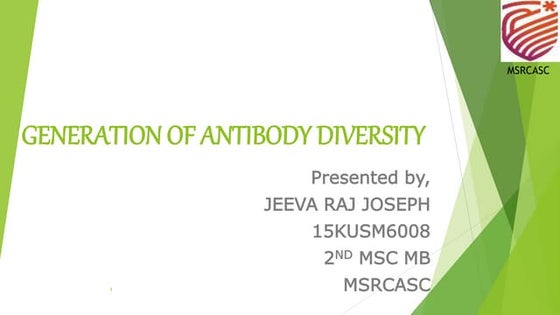 Mechanism of vd(j) recombination and generation of antibody diversity ...