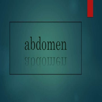 Abdomen | PPT