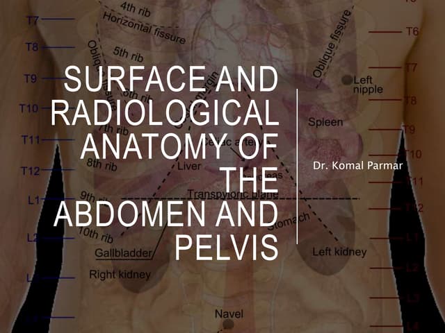 Water balance ppt | PPTX